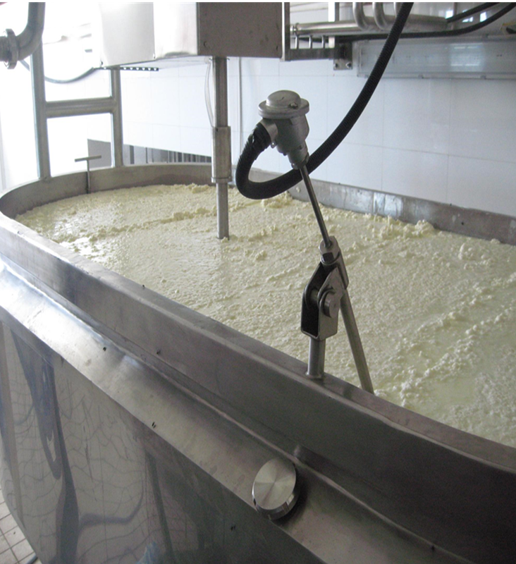 cheese production line