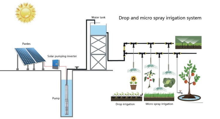 Solar Agricultural Irrigation system